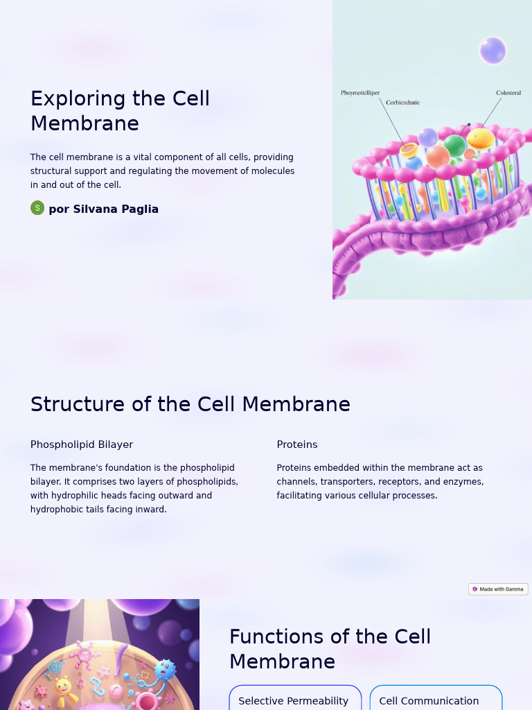 Exploring-the-Cell-Membrane | PDF | Cell Membrane | Cell (Biology)