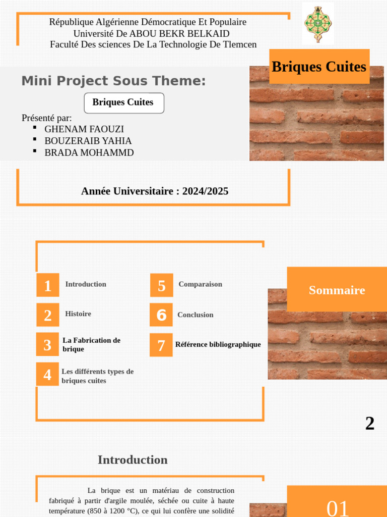 Mini Project | PDF | Brique | Matériaux