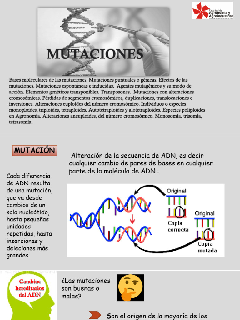 Mutaciones | PDF | Mutación | Codigo genetico