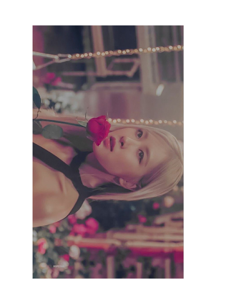 Rose | PDF