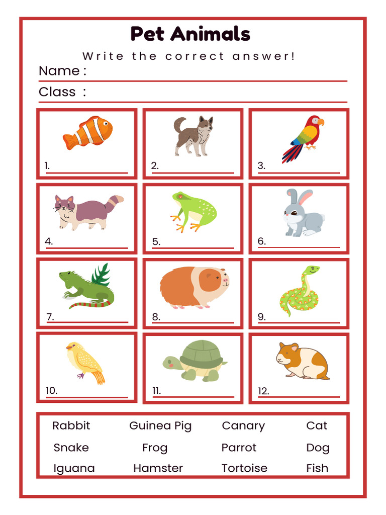 List of Common Pet Animals | PDF
