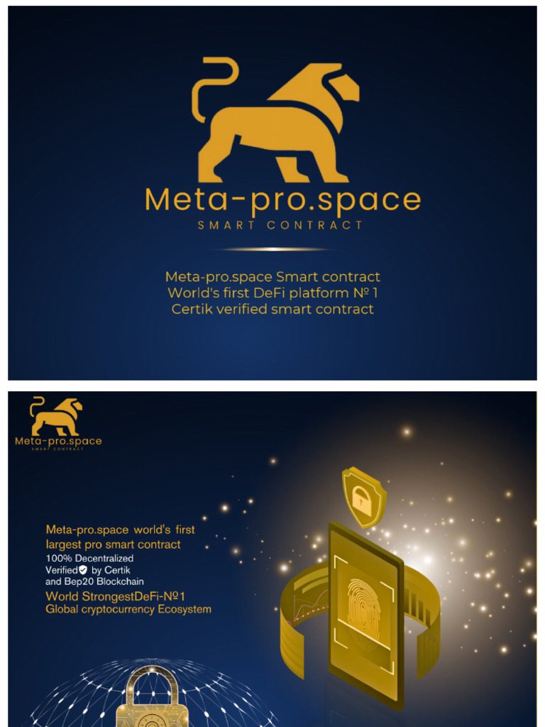 Meta Pro Update | PDF