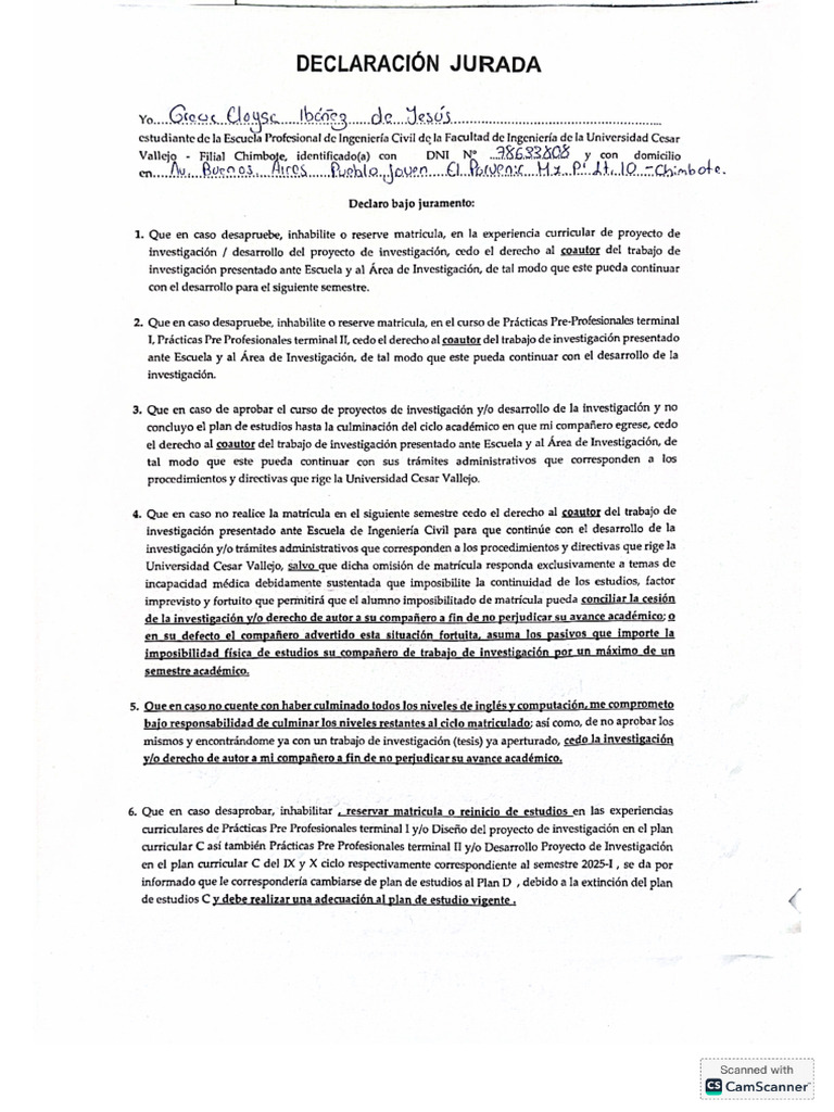 Declaración Jurada 2 | PDF