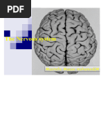 01 - Human Brain - Labeling Diagrams - Parts & Functions - Fill in The ...