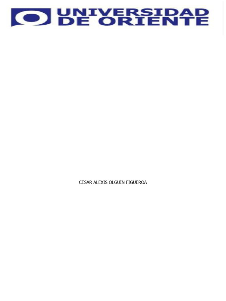 Cesar Alexis Olguin Figueroa | PDF