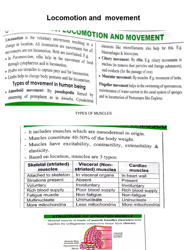 Locomotion and Muscle Types Guide | PDF