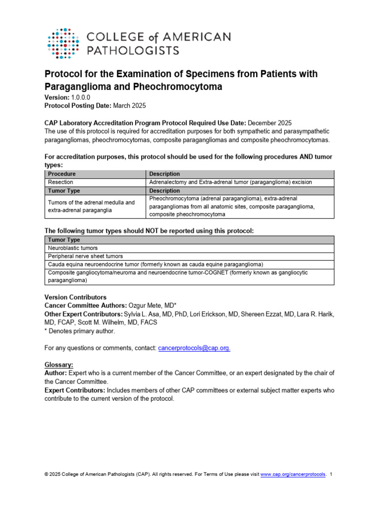 CAP 2025 Protocol For The Examination of Specimens From Patients With ...
