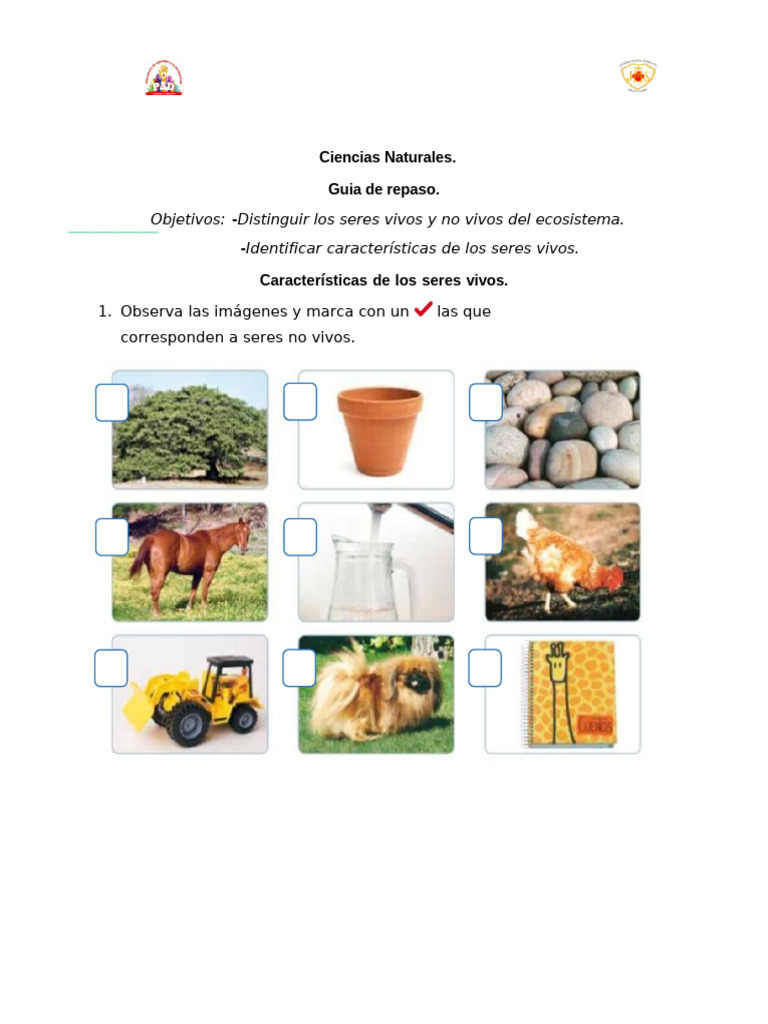 Guía de Repaso: Seres Vivos y No Vivos | PDF