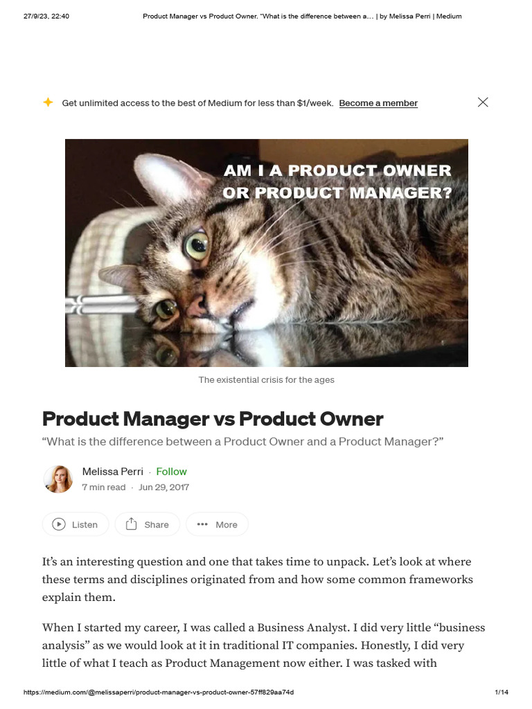 Product Manager Vs Product Owner. "What Is The Difference Between A ...