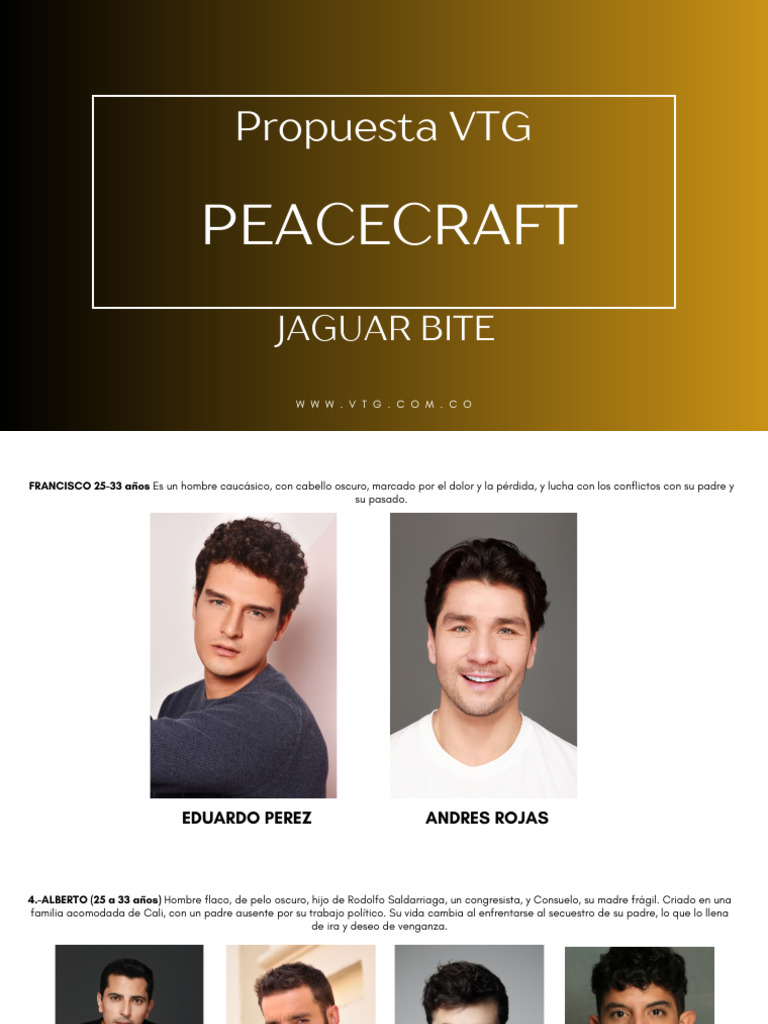 Propuesta Vtg - Peacecraft | PDF