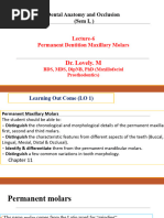 Maxillary Molars Anatomy Guide | PDF | Dentistry | Tooth