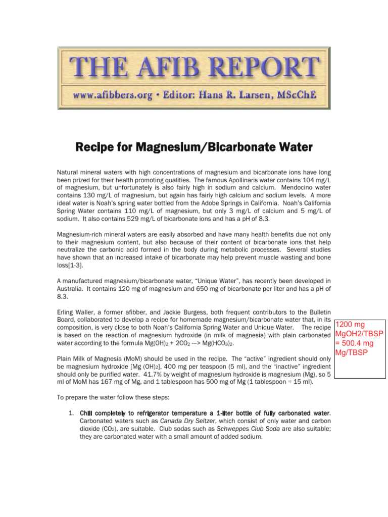 Making MgHCo3 | PDF | Magnesium | Carbonated Water