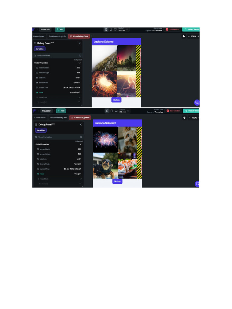 Taller Luciana Salame Flutterflow | PDF