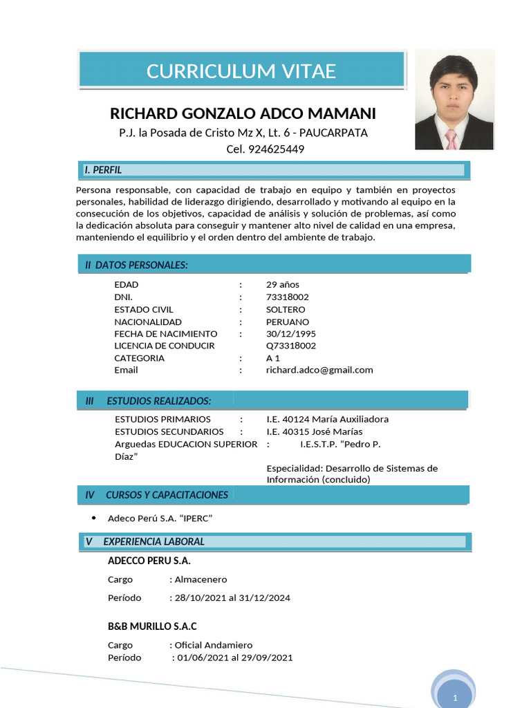 CV de Richard Gonzalo Adco Mamani | PDF