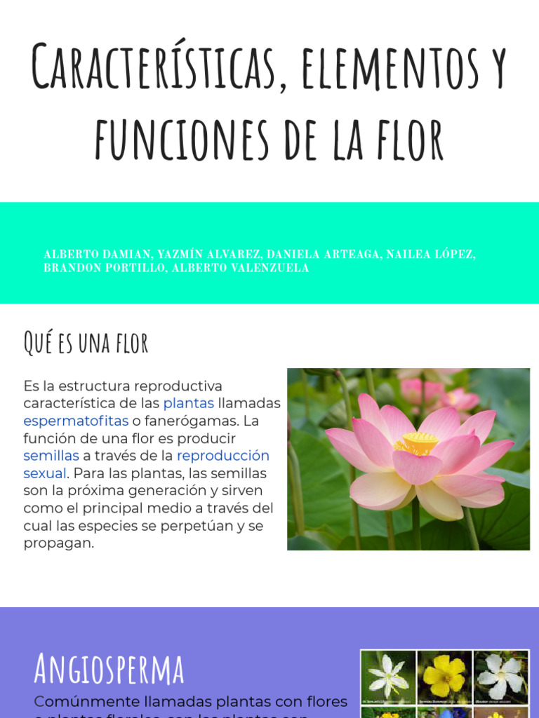 Funciones y características de la flor | PDF