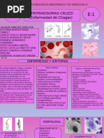 Triatominos: Vectores de Chagas | PDF | Biología