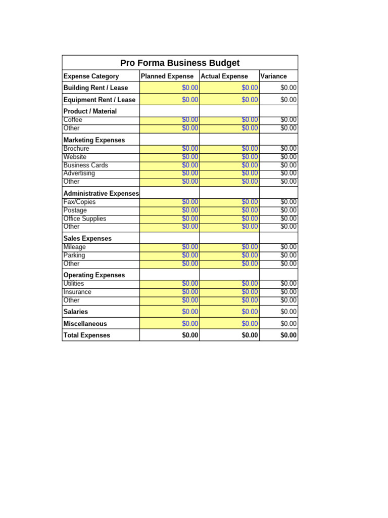 Pro Forma Business Budget Template | PDF