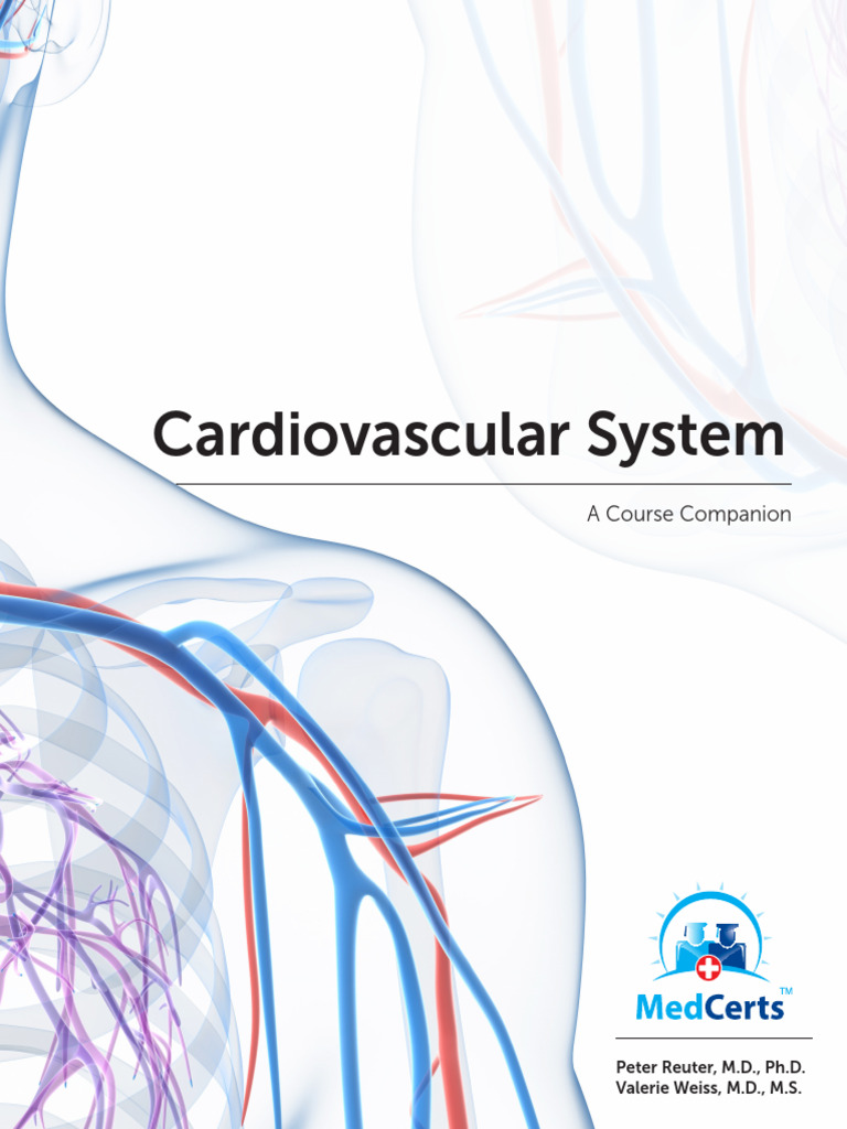 Module 11 Cardiovascular System-Jul19 | PDF | Heart Valve | Vein