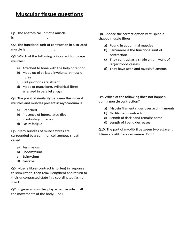 Muscular Tissue Questions | PDF