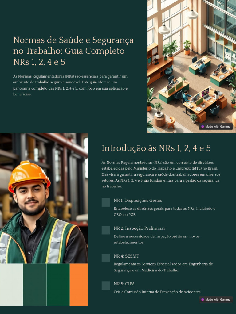 Guia das NRs 1, 2, 4 e 5: Segurança no Trabalho | PDF | Remédio