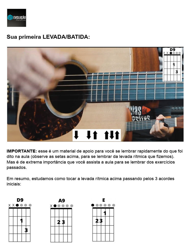 Sua Primeira Levada Batida | PDF