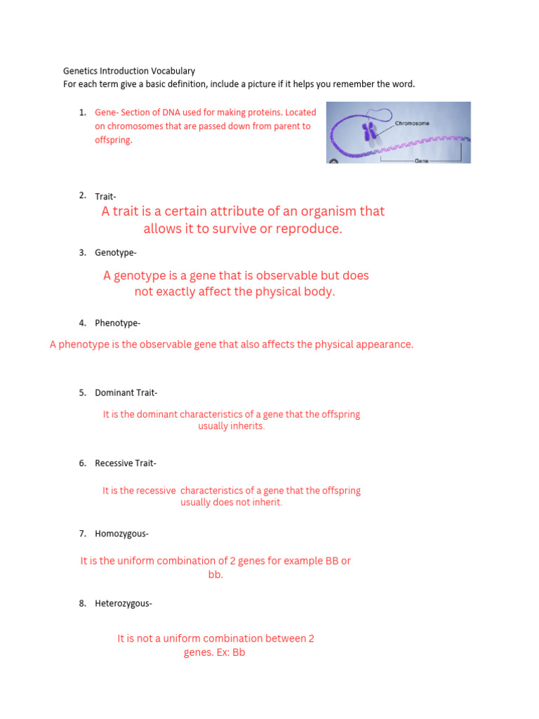 Natural Selection PHET- Student Sheet.pdf | PDF | Genotype | Gene