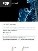 Ángulo de Louis | PDF | Tórax | Anatomía humana