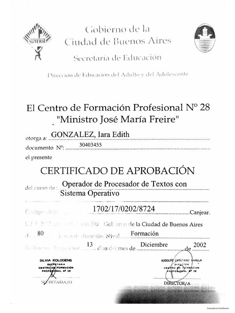 Curso 1 | PDF