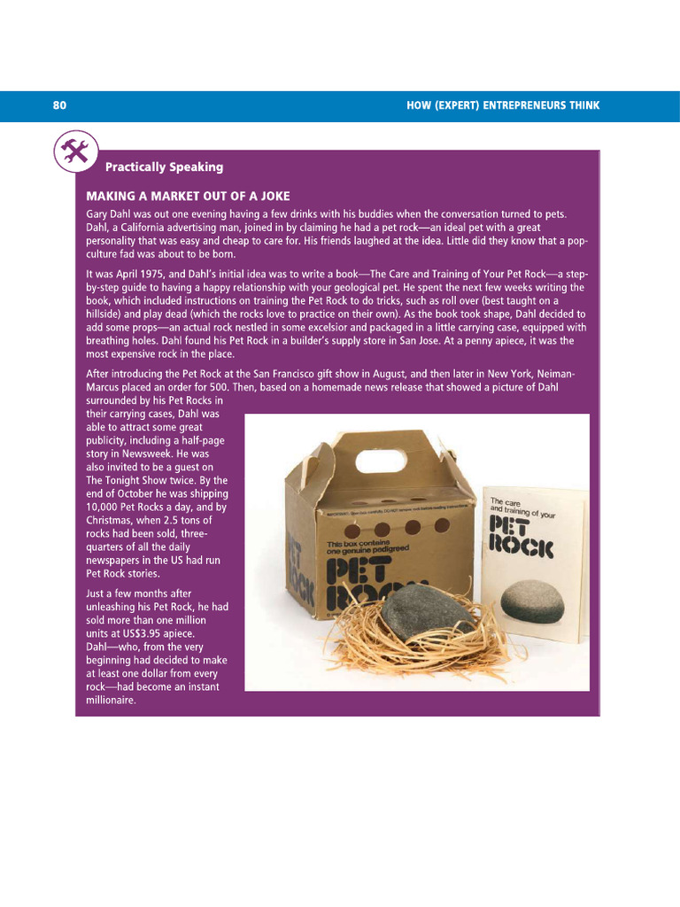 Pet Rock | PDF