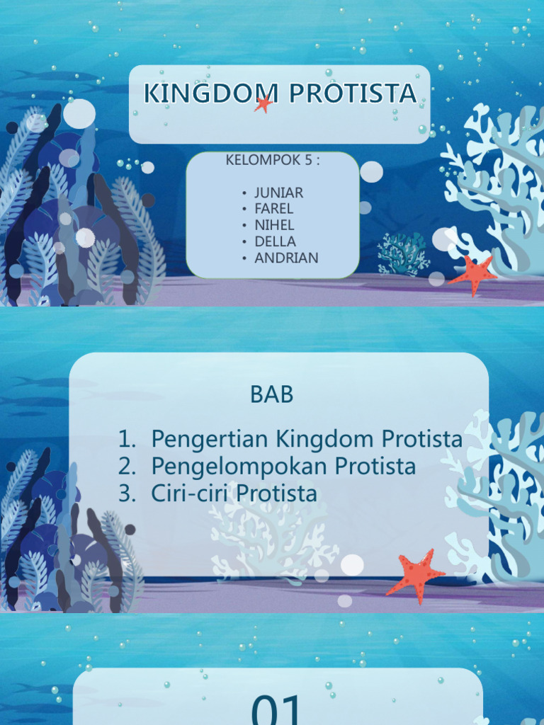 Pengelompokan Kingdom Protista | PDF