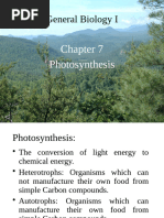 Photosynthesis: Key Concepts & Processes | PDF | Photosynthesis ...
