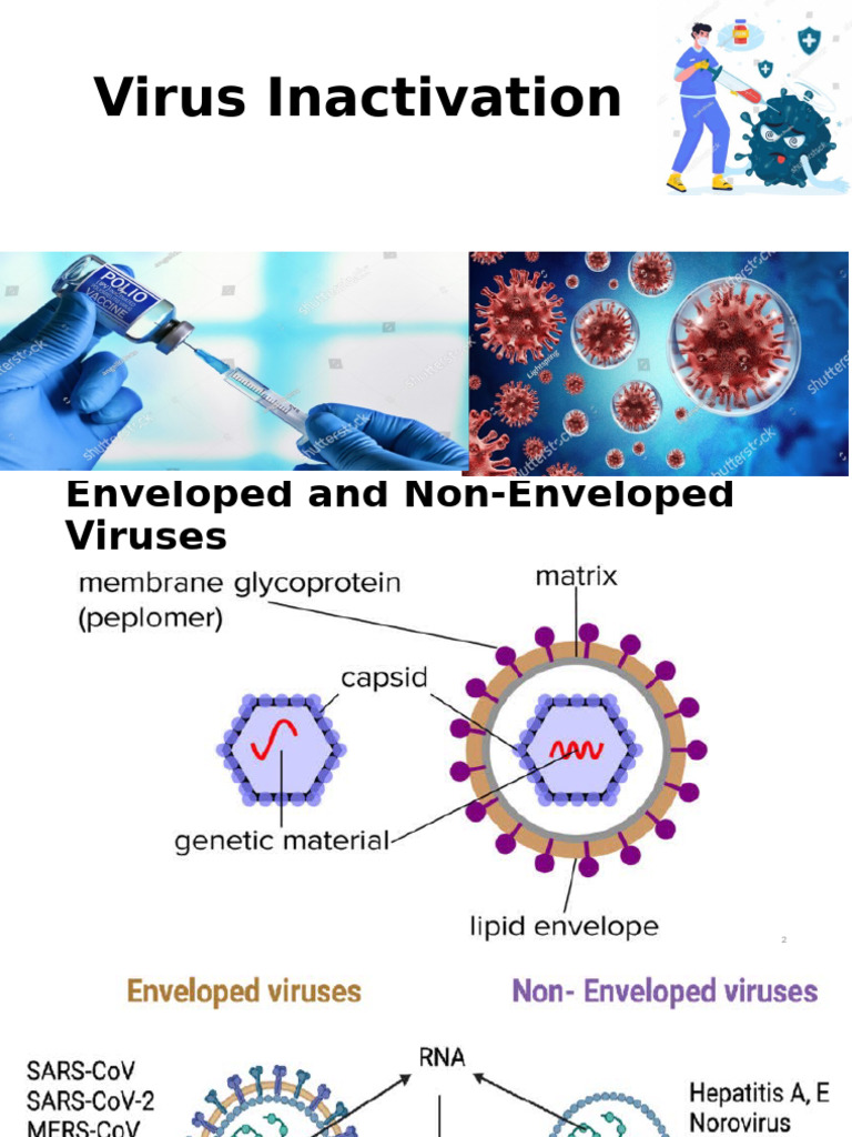 Lecture Virus Inactivation | PDF | Virus | Detergent