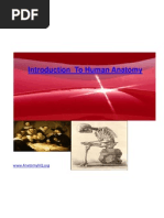 Topographic Anatomy Overview | PDF | Anatomical Terms Of Motion ...
