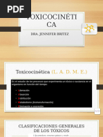 Toxicocinética y Toxicodinamia | PDF | Toxicidad | Excreción
