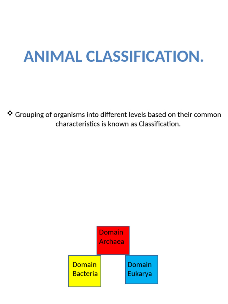 Animal Classification | PDF | Eukaryotes | Cell (Biology)