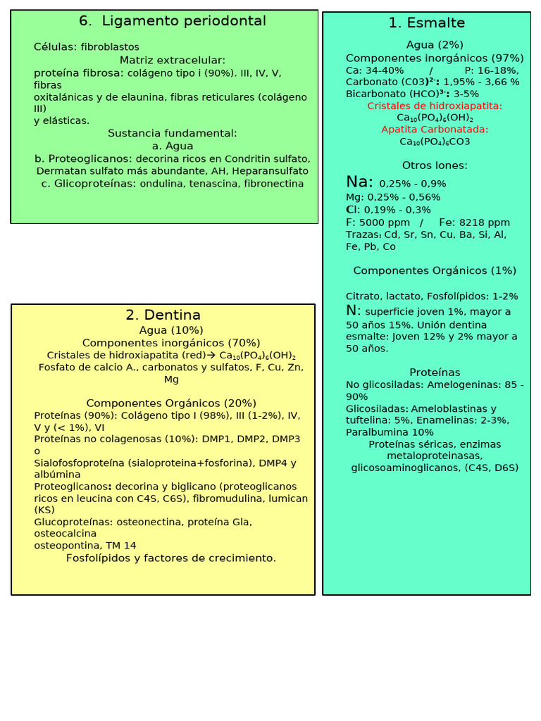 Maquet A | PDF | Esmalte de dientes | Calcio