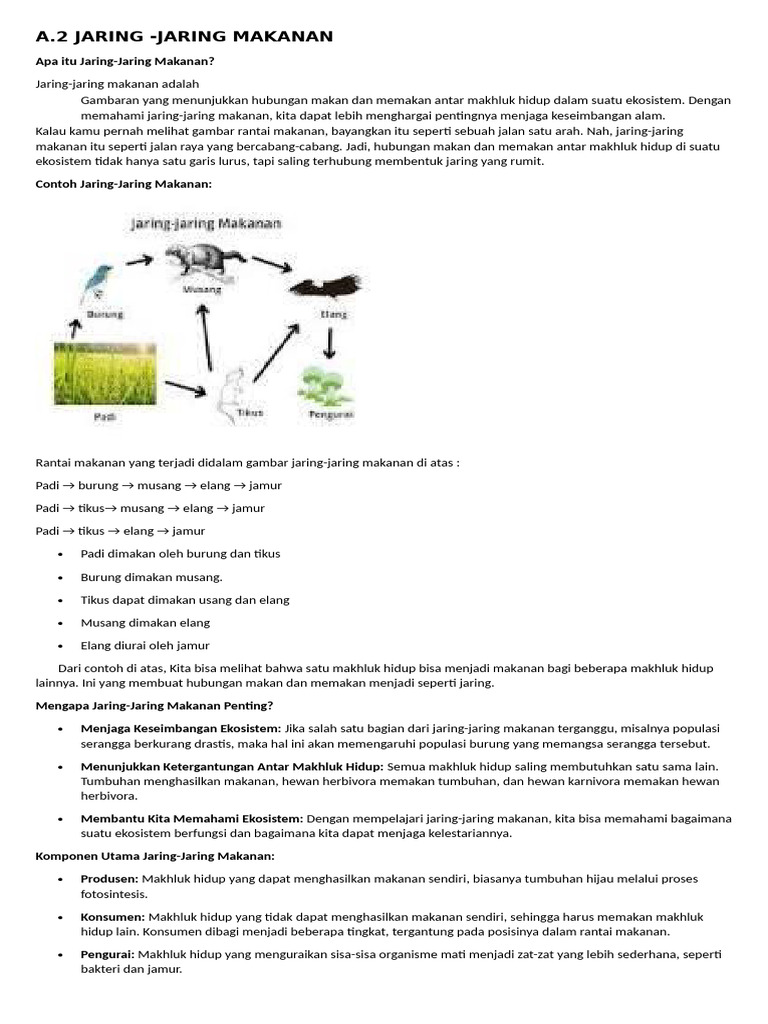 Jaring-Jaring Makanan dan Ekosistem | PDF