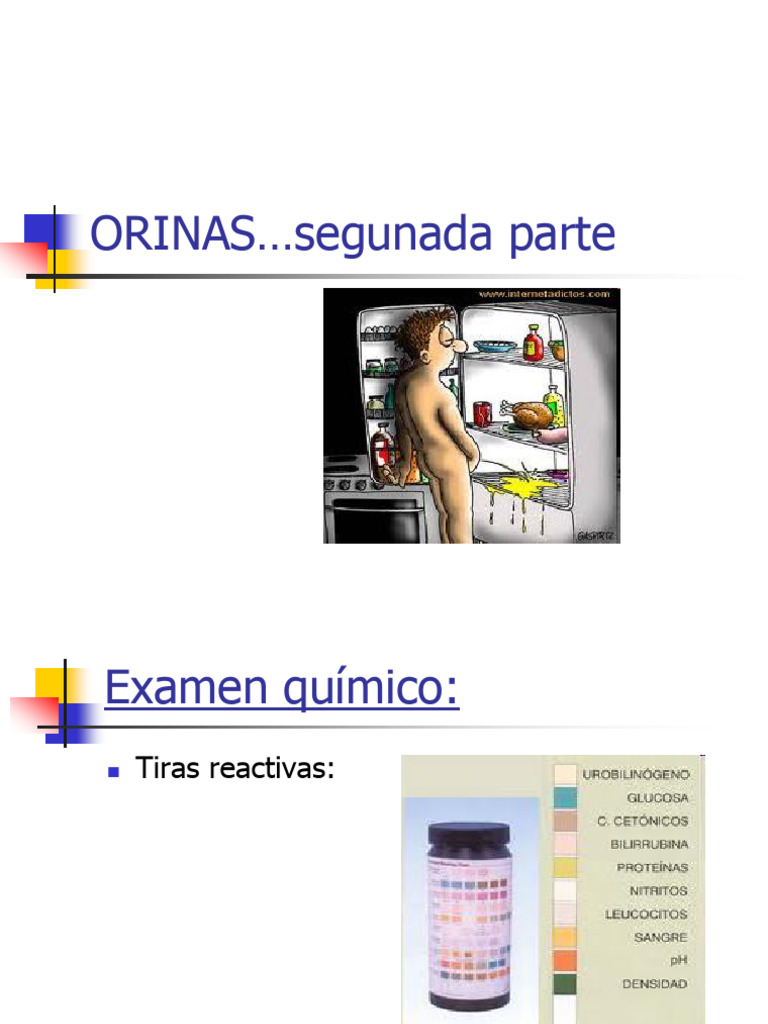 Orinas 2 | PDF | Especialidades Medicas