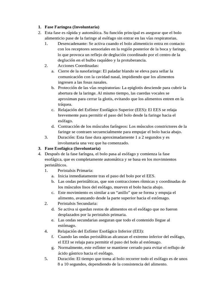 Fase Faríngea en la Deglución | PDF | Esófago | Estómago
