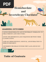 Phylum Chordata: Dr. Muhammad Zahid | PDF | Vertebrates | Chordates