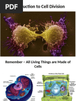Meiosis Amoeba Sisters | PDF | Meiosis | Mitosis