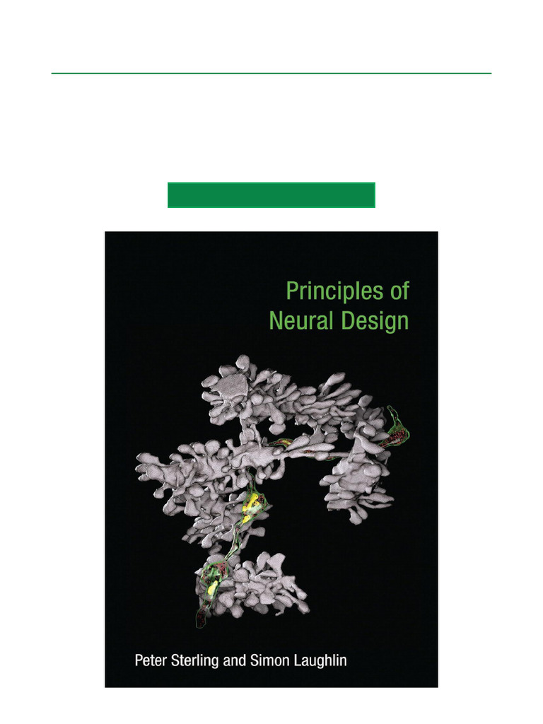 Principles of Neural Design (Mit Press) Textbook PDF Download | PDF ...