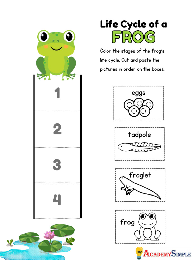 Life Cycle of Frogs | PDF