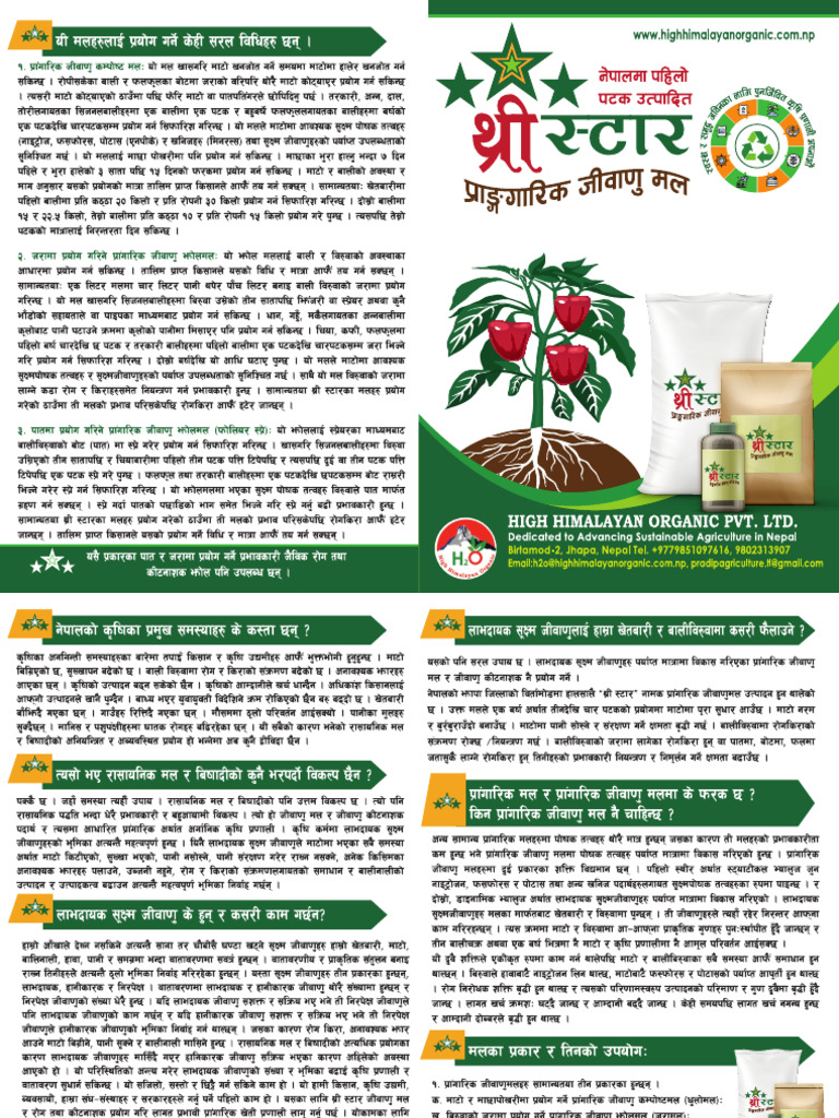 Two Folds Brochure | PDF