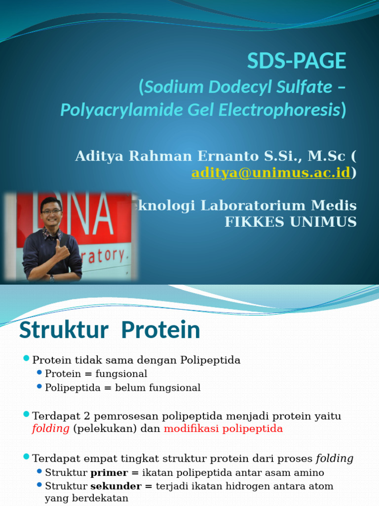 Sds-Page (Aditya) | PDF