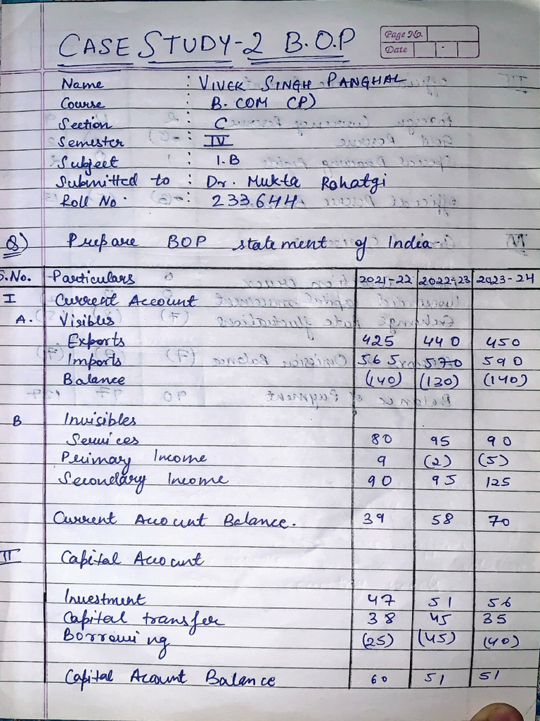 Case Study 2 BoP 233644 Vivek Singh Panghal | PDF