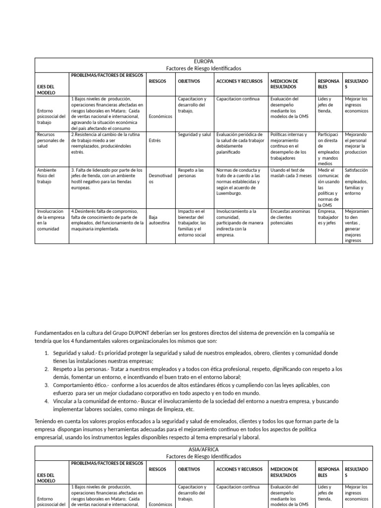 EJES DEL MODELO CASO BORRADOR | PDF | Business | Estrés (biología)