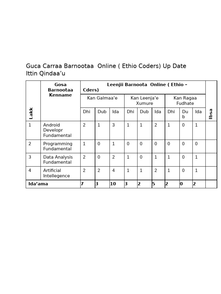Ethio - Coders Bara 2017 | PDF