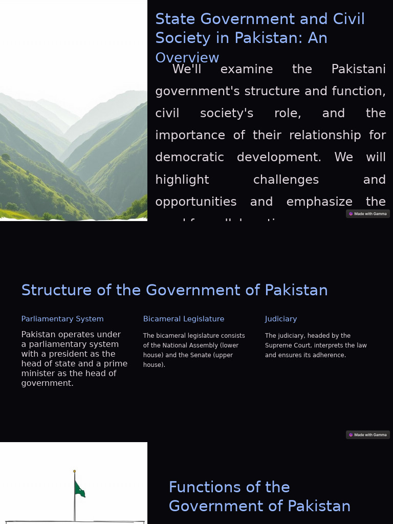 State Government and Civil Society in Pakistan An Overview | PDF ...