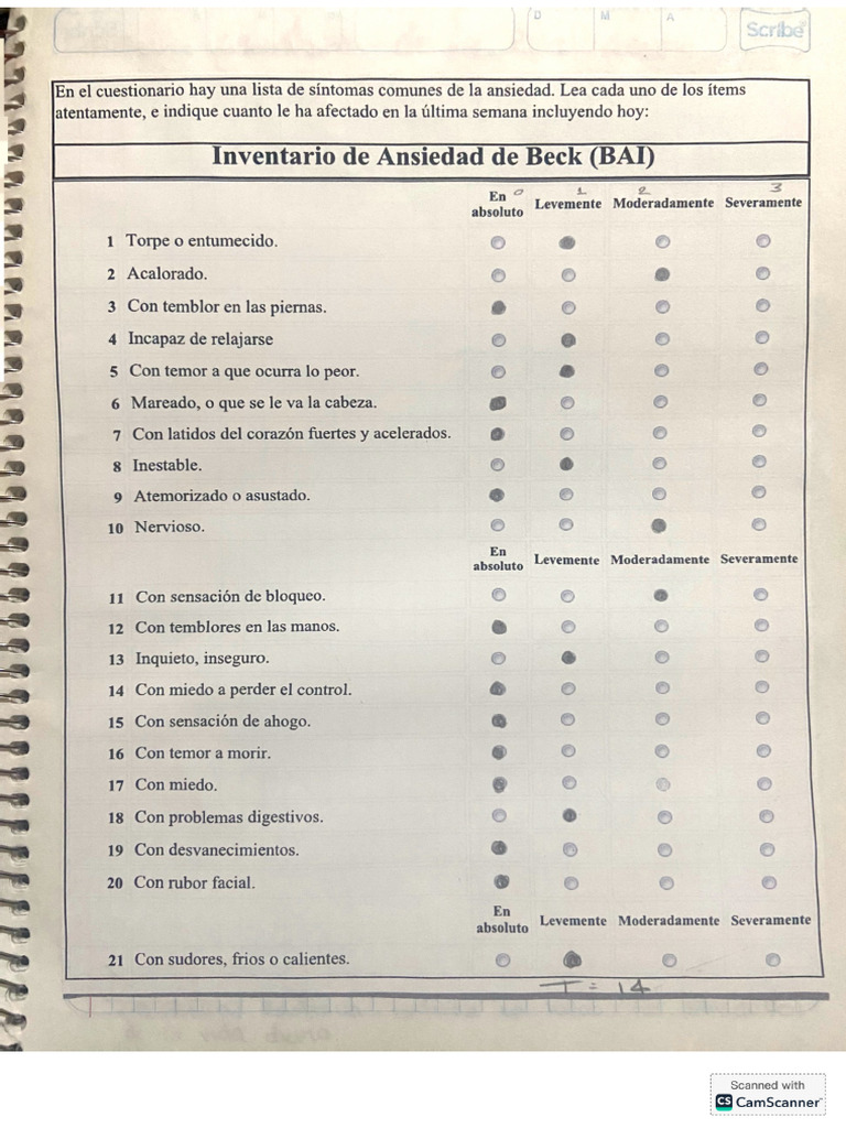 Inventario de Ansiedad de Beck | PDF